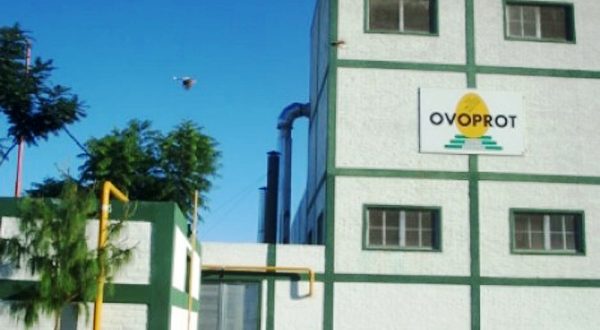 Tras el cierre, Ovoprot entra a concurso preventivo de acreedores ...