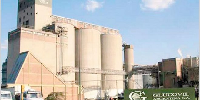 Preocupación por nuevos casos de Covid en Glucovil - Info Alimentación